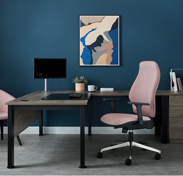 Torasen Pluto Plus Mesh Chair | Office Furniture Scene